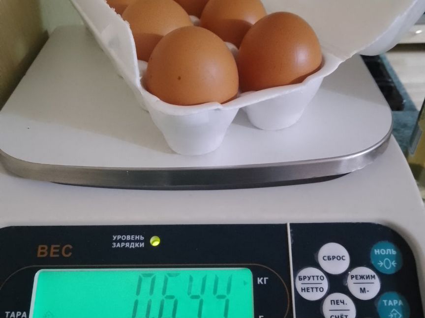 Инкубационное яйцо кур несушек