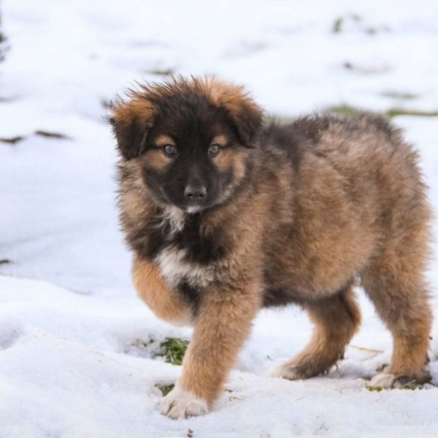 Невероятно умная и уравнрвешенная