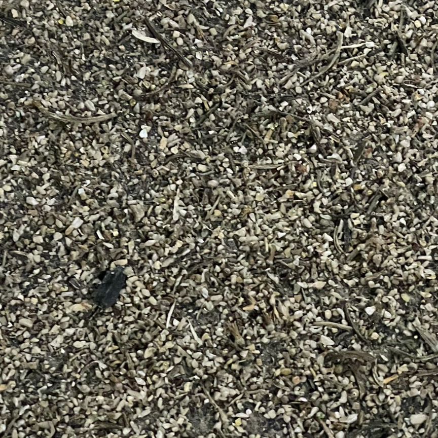 Зерно отходы