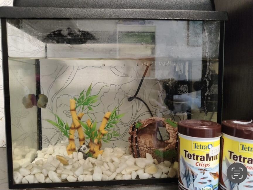 Аквариум бу все включено