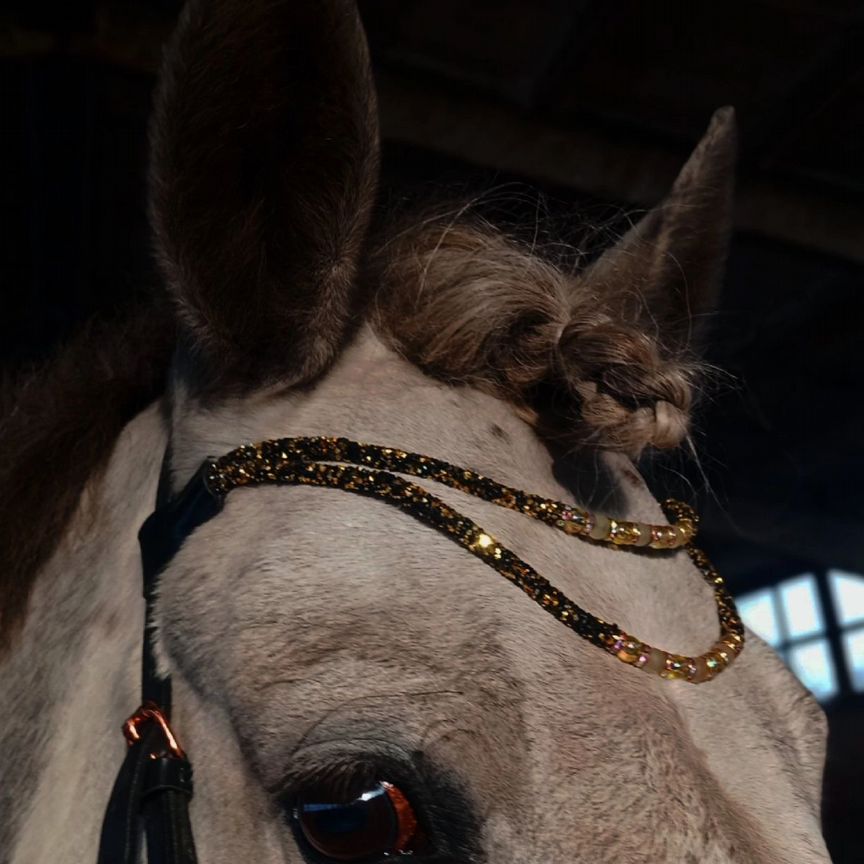 Налобник для лошади на заказ