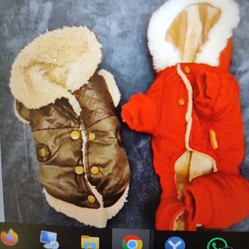 Куртка для той-терьера