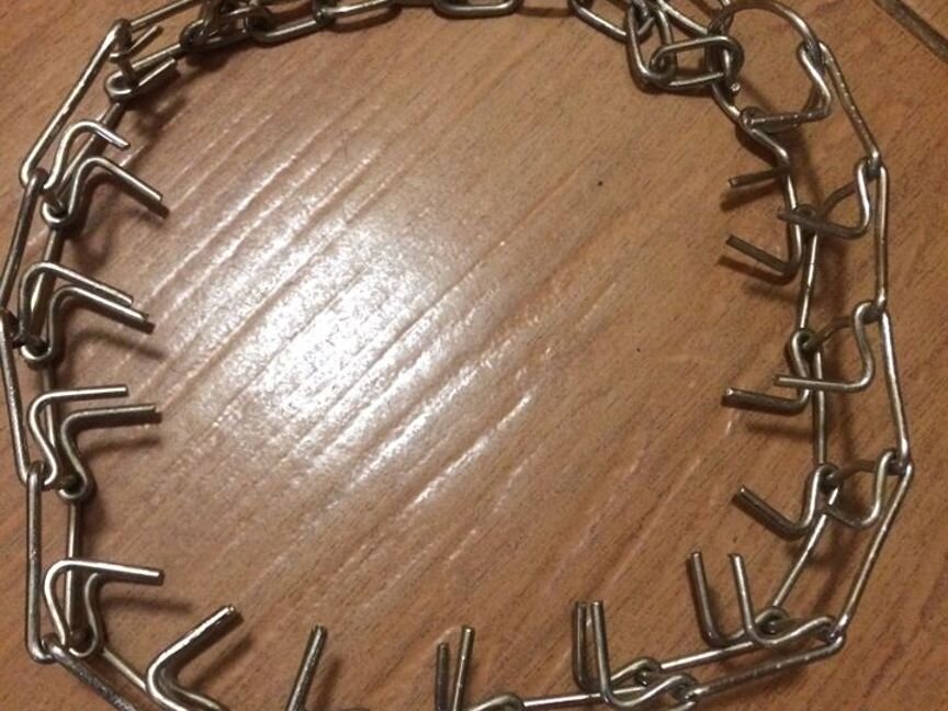 Ошейник для собак