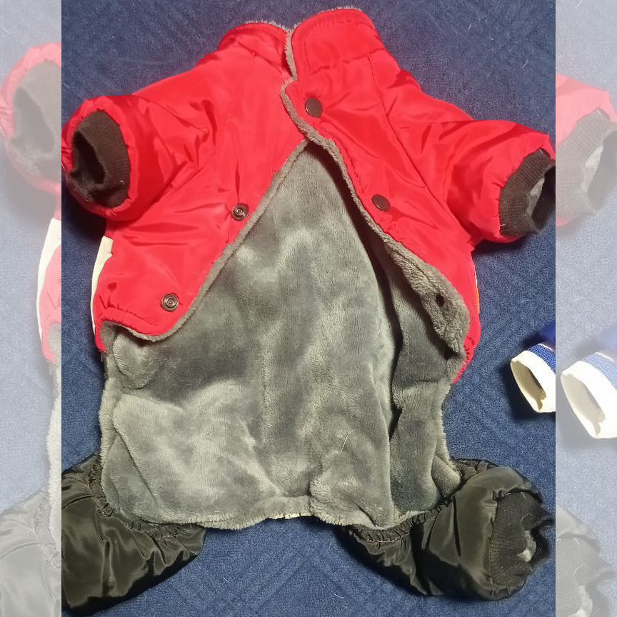 Одежда для маленьких собак бу