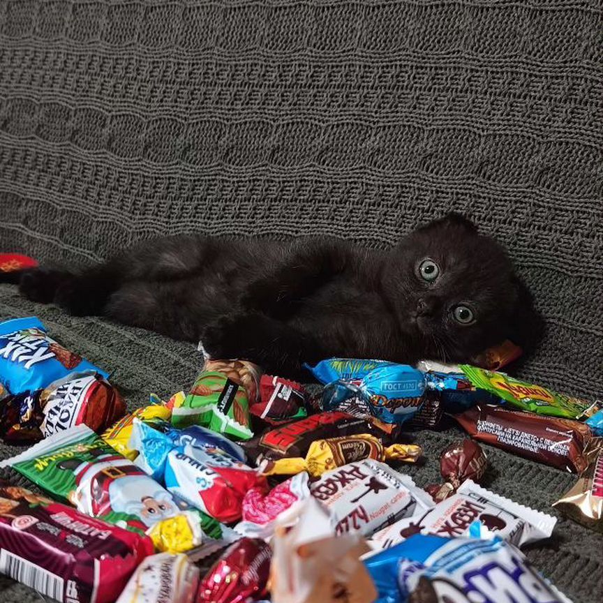 Маленькая принцесса