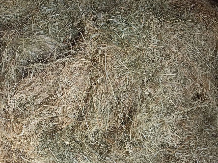 Сено луговое для животных, опилки ясень