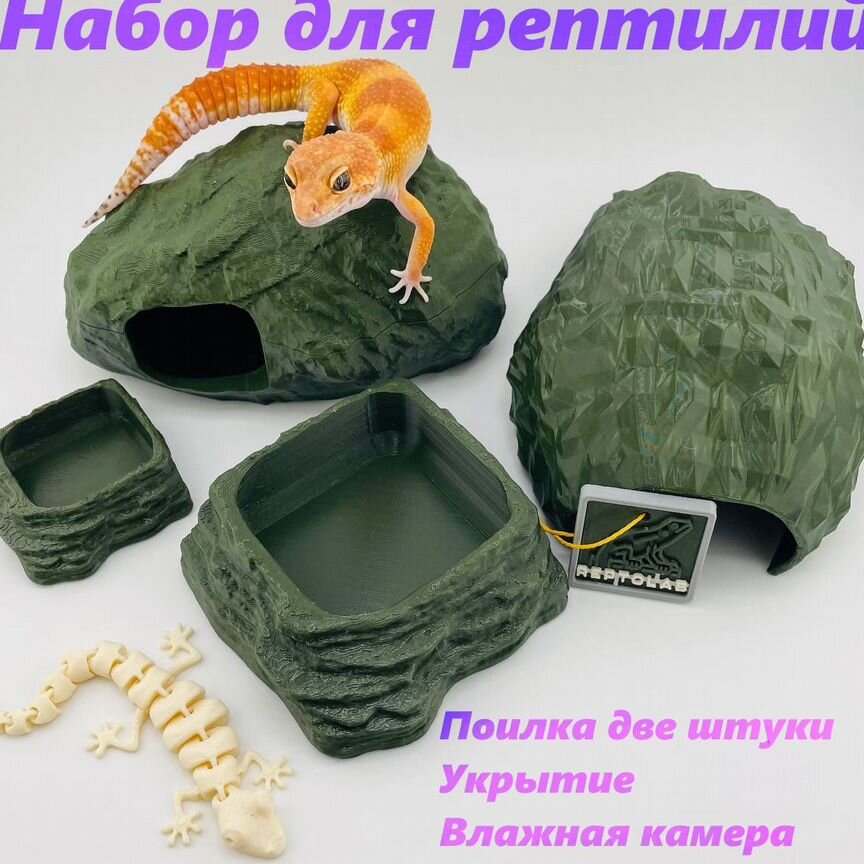 Набор для рептилий (Влажная камера Укрытие поилка)