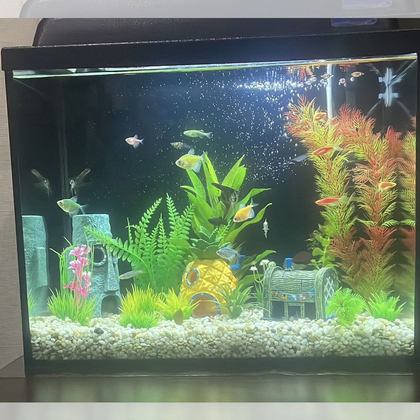 Аквариум 50 литров