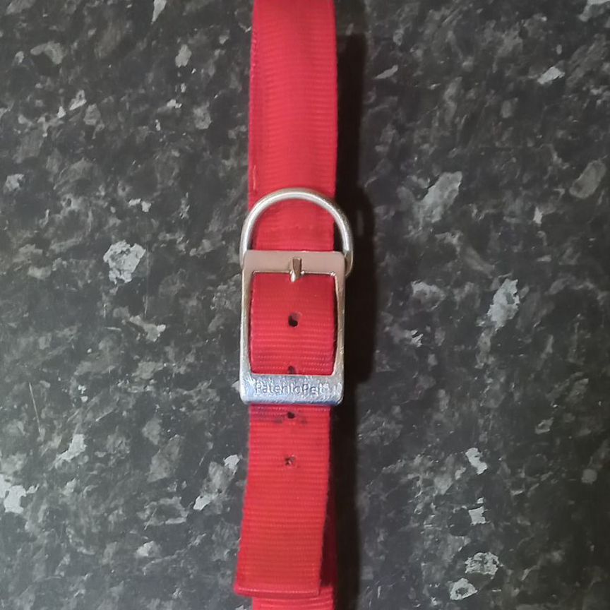 Ошейник Patento Pet 51-61см красный