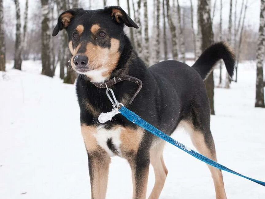 Никто не выбирает Грэтту