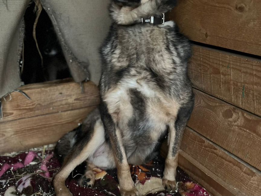 Тэд тебя ждёт