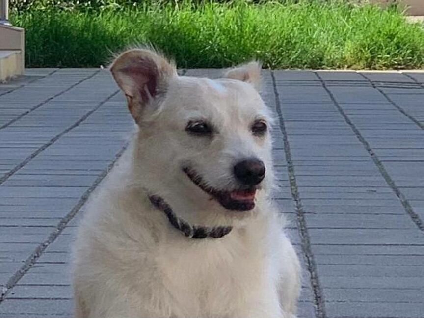 Малышка Джессика ищет дом