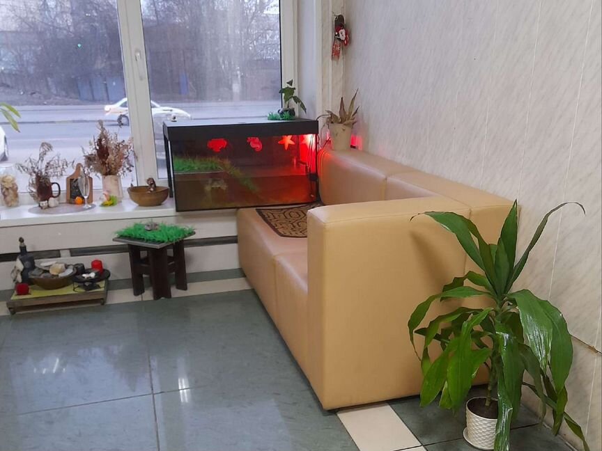 Аквариум черепашник
