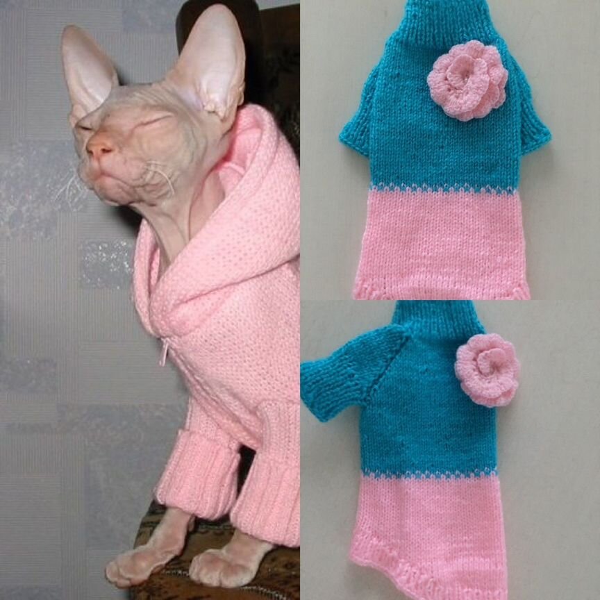 Одежда для сфинкса