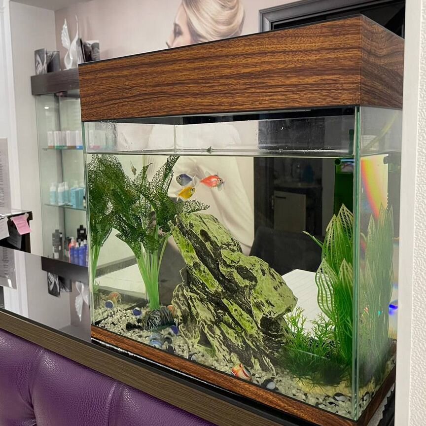 Аквариум с рыбками и фильтром