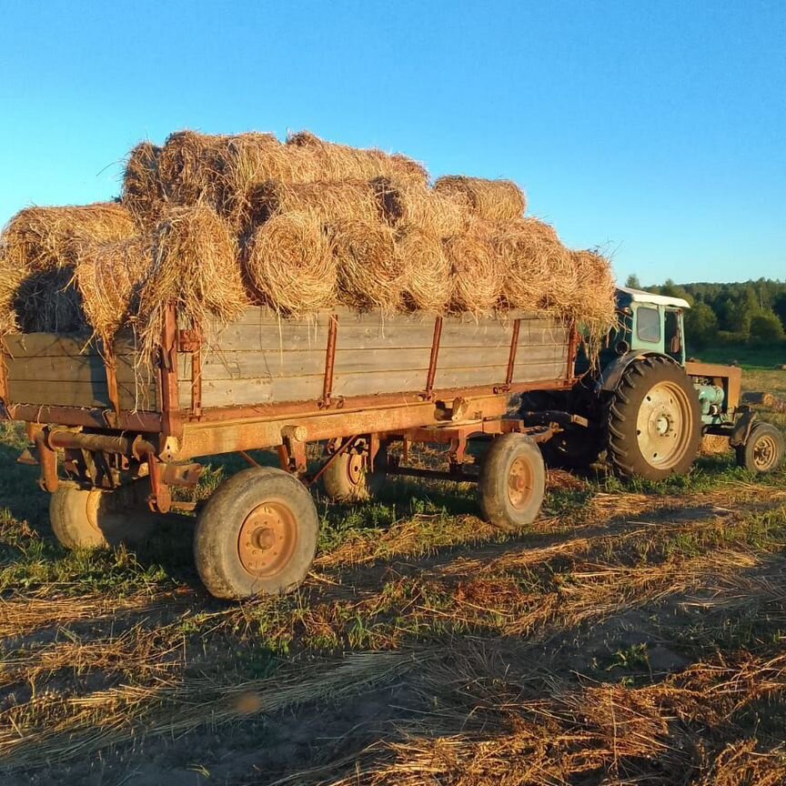 Сено в минирулонах