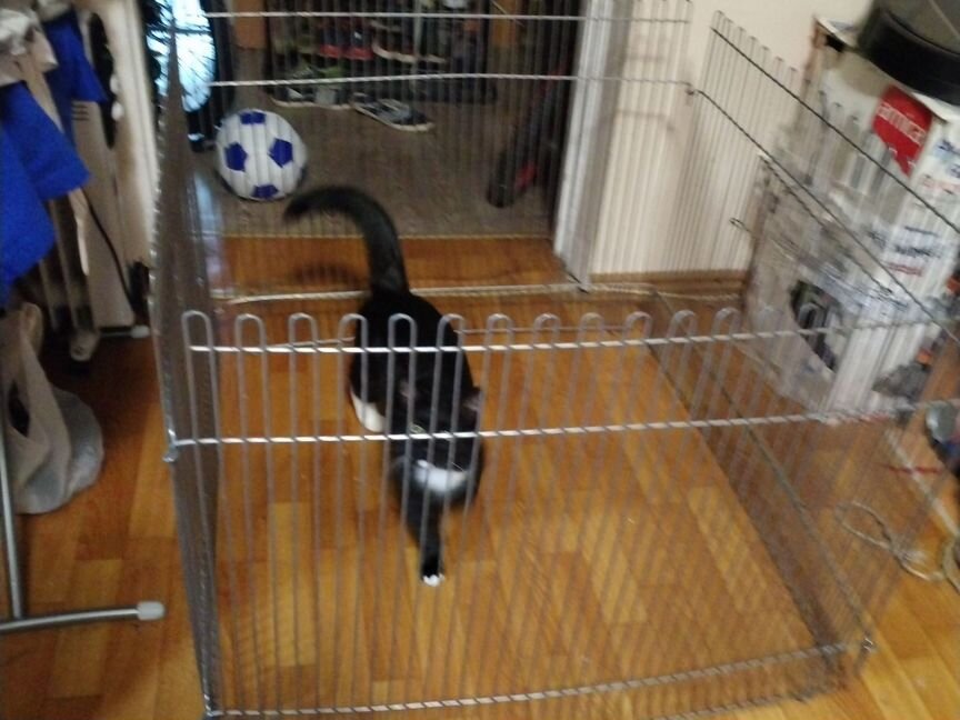 Загон-клетка