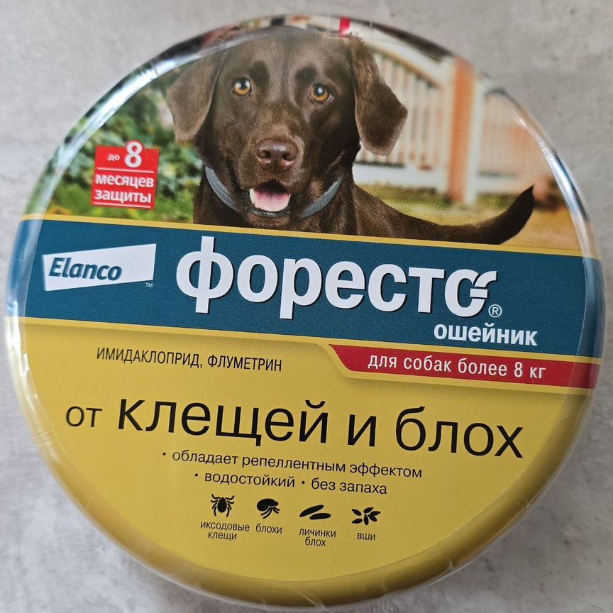Ошейник для собак