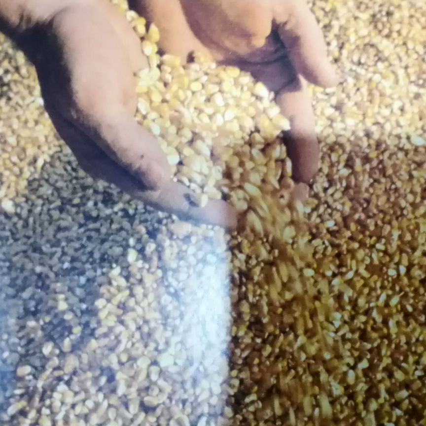 Комбикорма