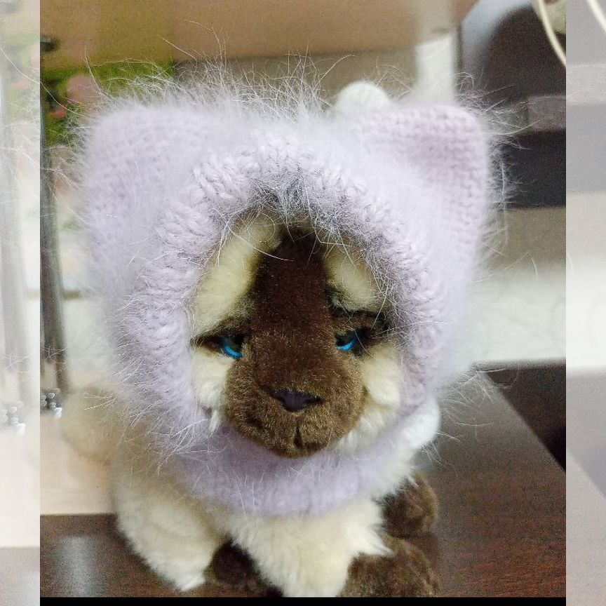 Шапочки для маленьких собак