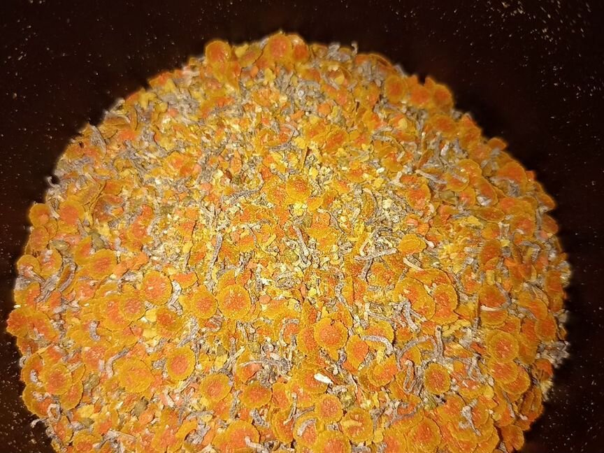 Корм, кондиционеры для рыб