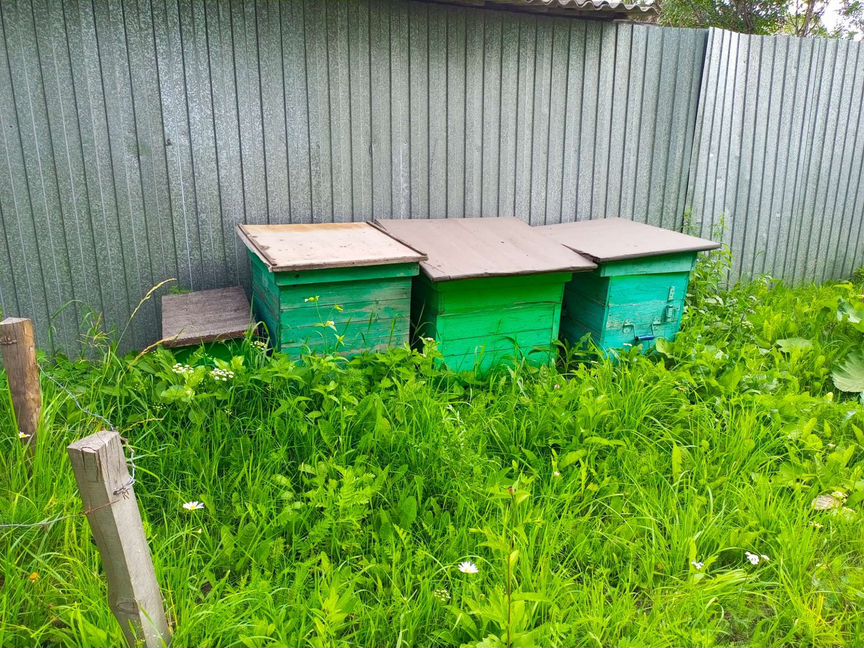 Улей для пчел бу