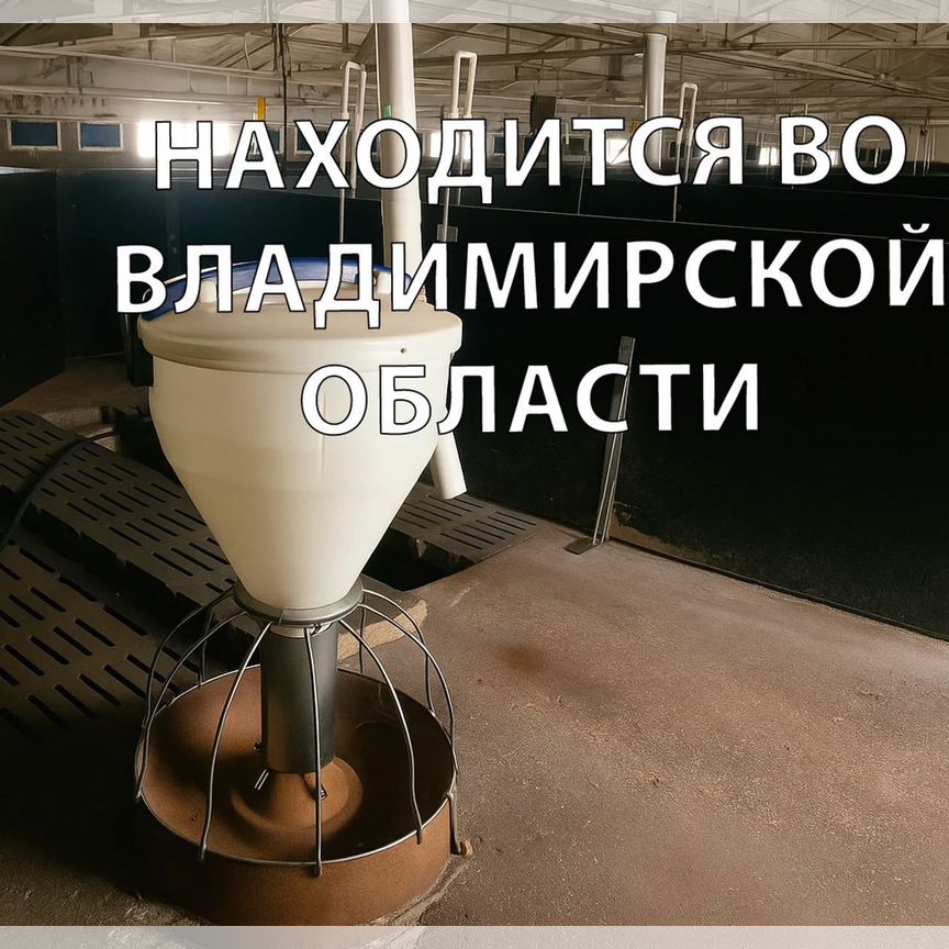 Автоматические кормушки для свиней