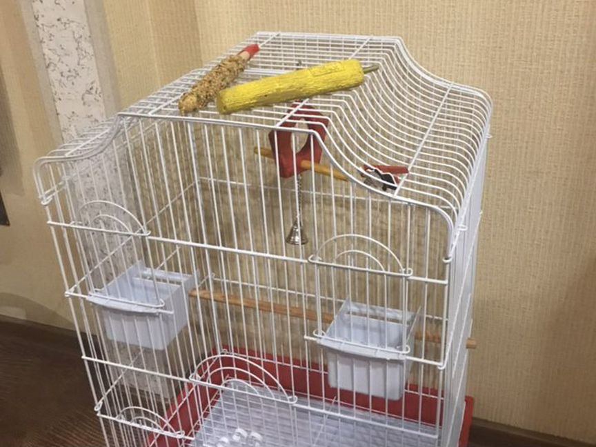 Клетка для попугая