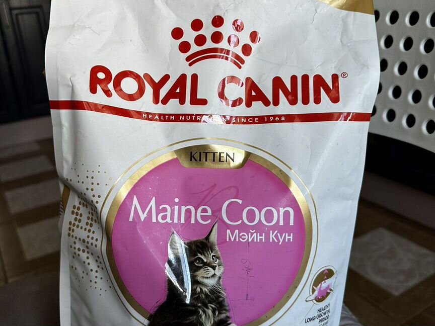 Корм для кошек Maine Coon Kitten