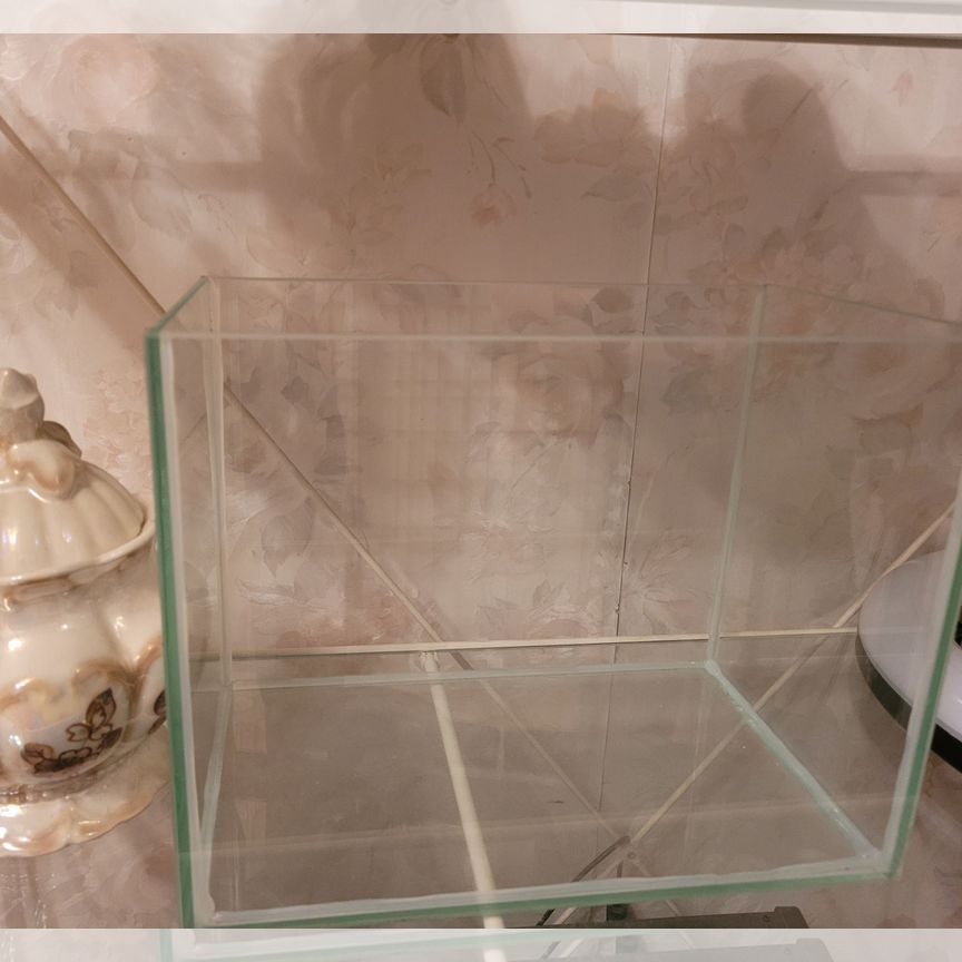 Аквариум Бронь