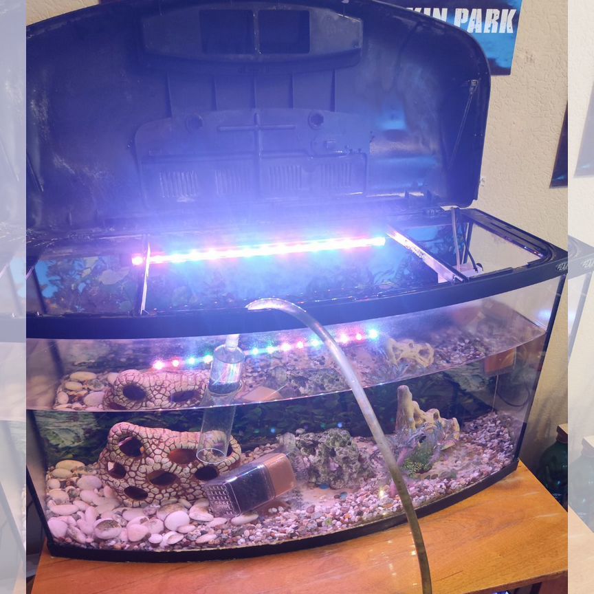 Аквариум 100 литров