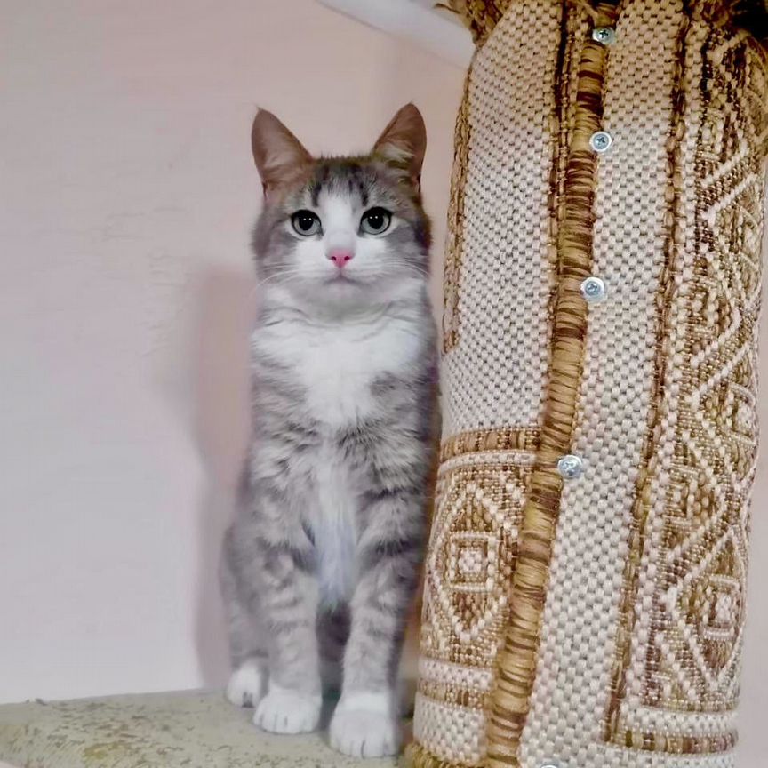 Юная зеленоглазая прелесть бесплатно