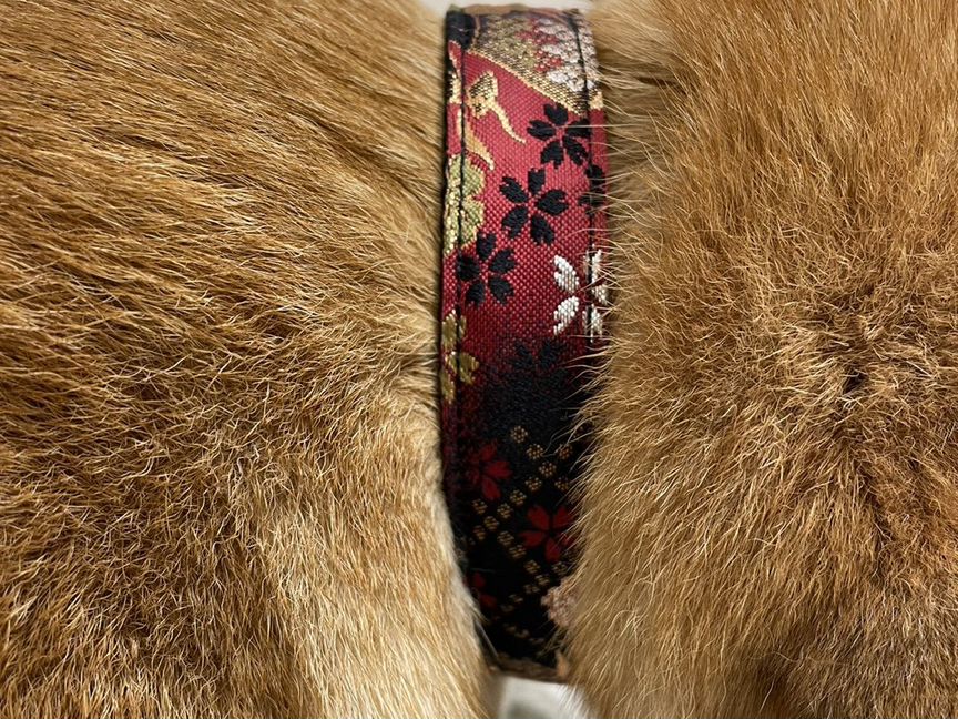 Ошейник из японской парчи Yarwear