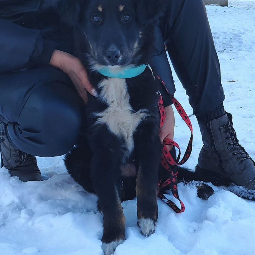 Малышке нужен дом