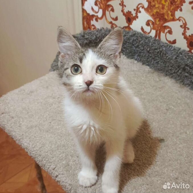 Машуня ищет семью