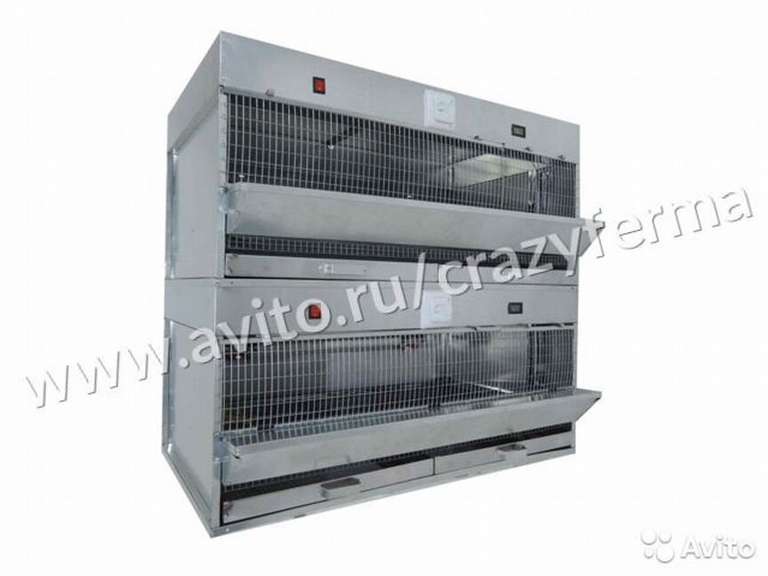 Брудер для цыплят с терморегулятором