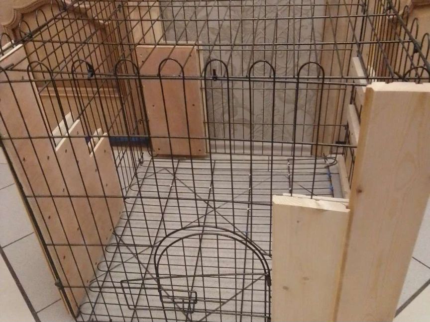 Вольер для собак