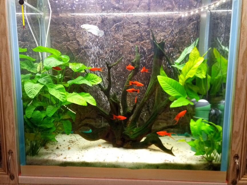 Аквариум - картина антивандальный 400 литров