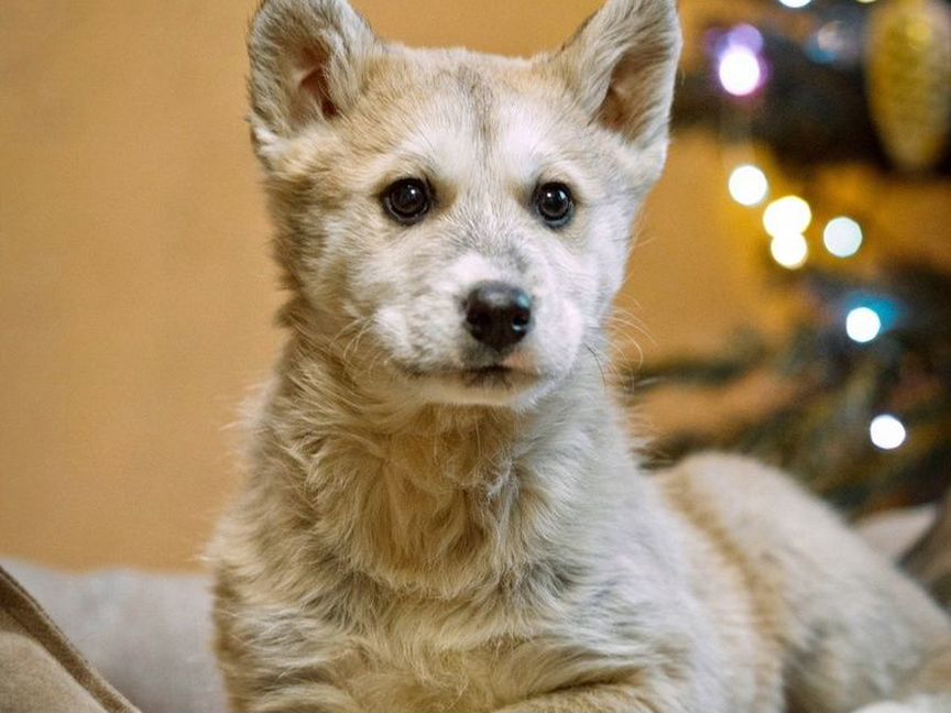 Утро начинается с кофе. Раф