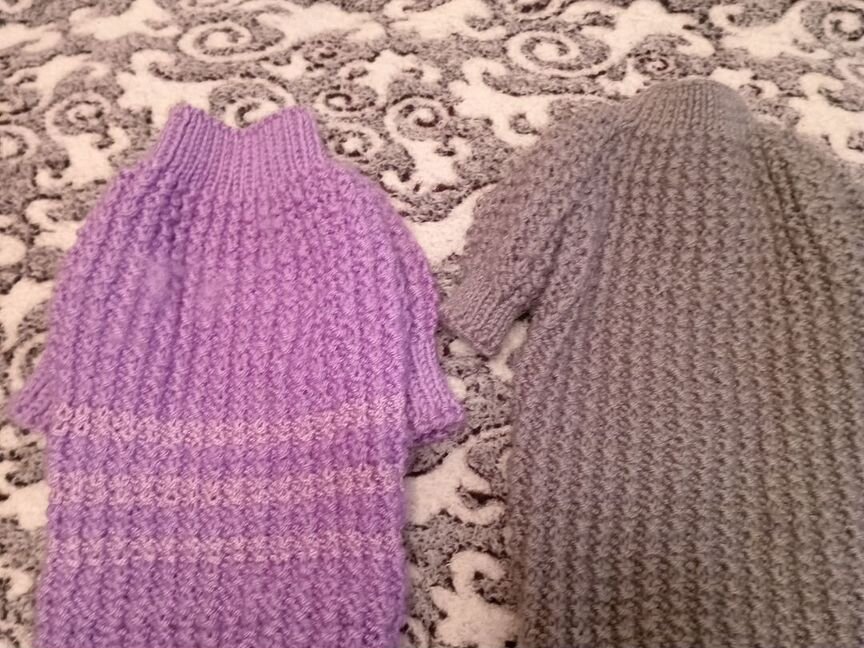 Одежда для животных