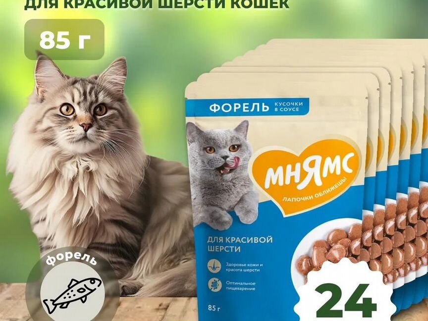 Влажный корм Мнямс для кошек, форель 24 шт