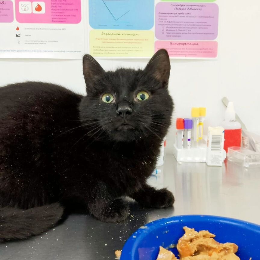 Спасенный с холода малыш хочет домой