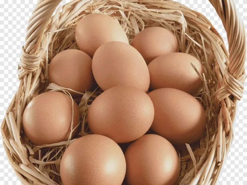 Яйца на инкубацию