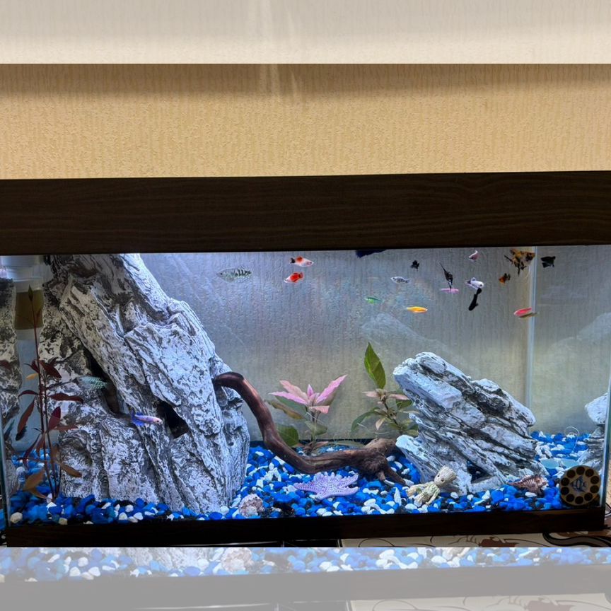 Аквариум 80л