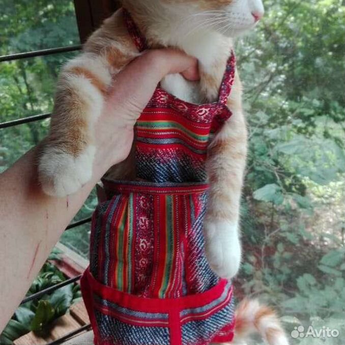 Первый парень на деревне