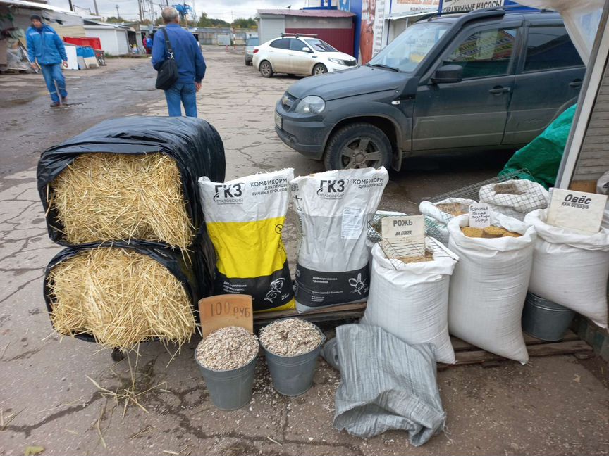 Корм для животных