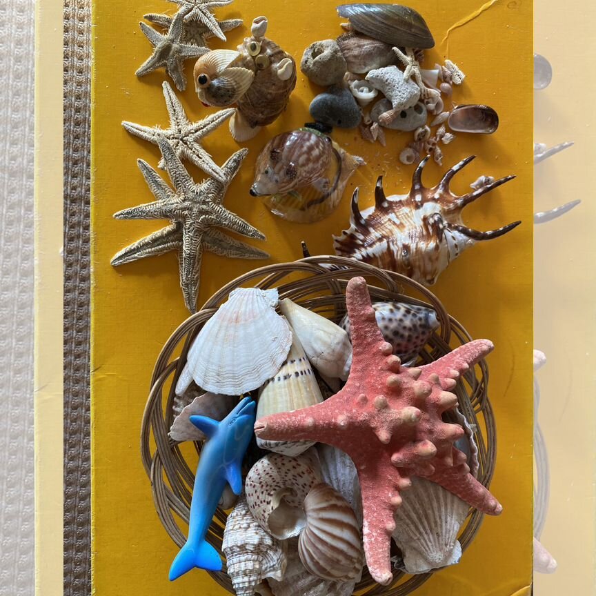 Морские ракушки, звёзды, фигурки
