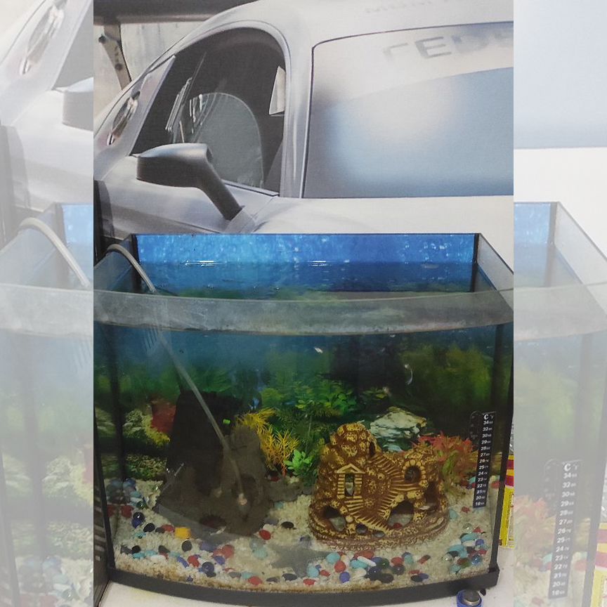 Аквариум с рыбками