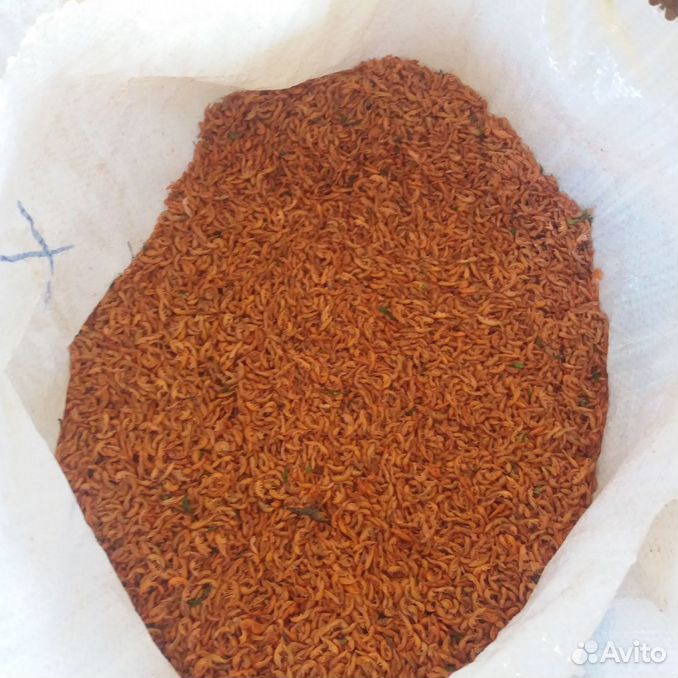 Гаммарус Мормыш