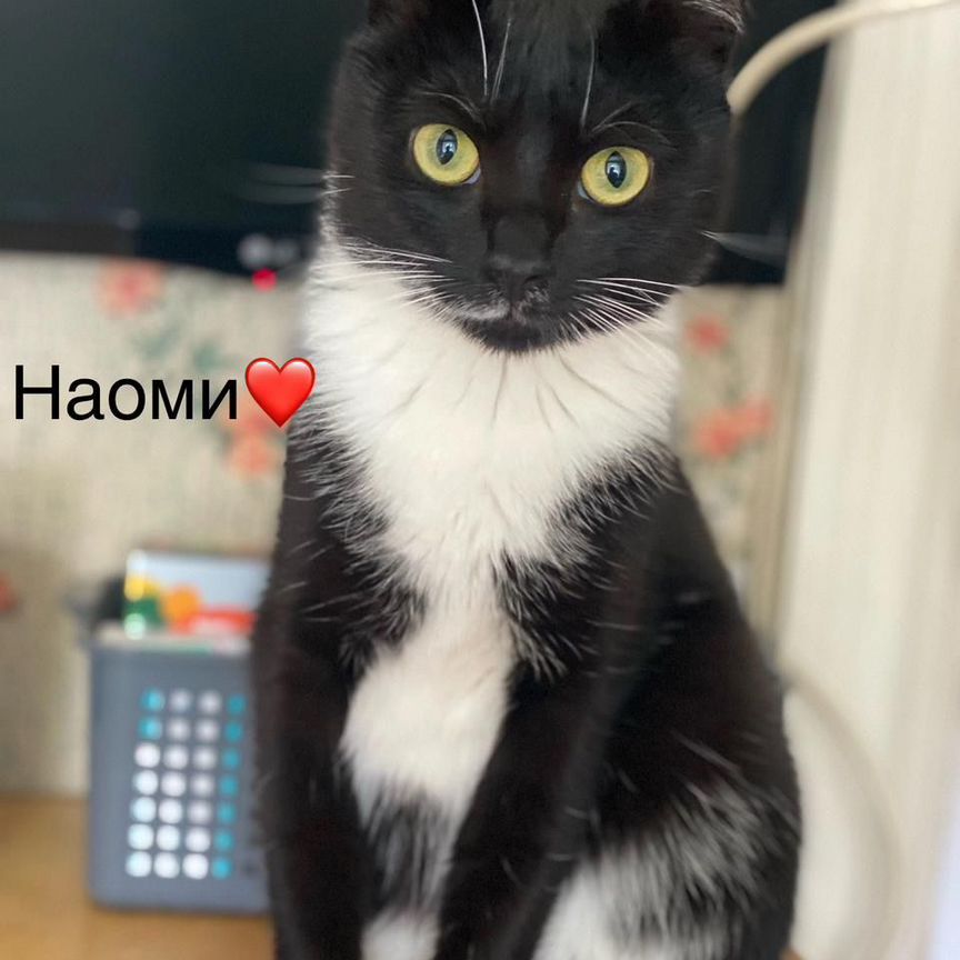 Ее зовут Наоми